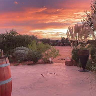 Baccari (Maroc) – Terres Millésimées by S. Derenoncourt